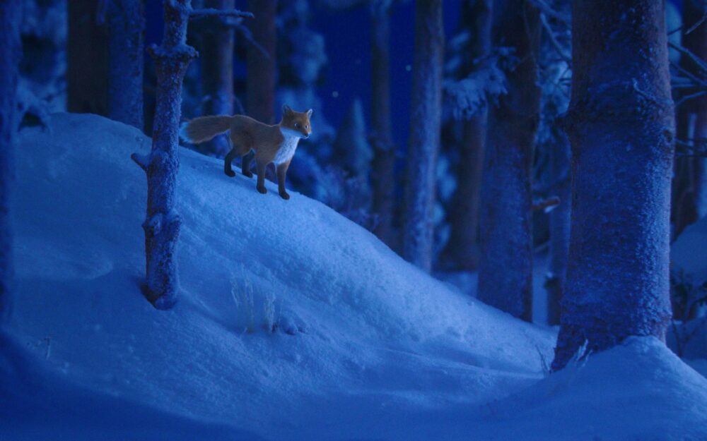 Qvisten – Reven og Nissen