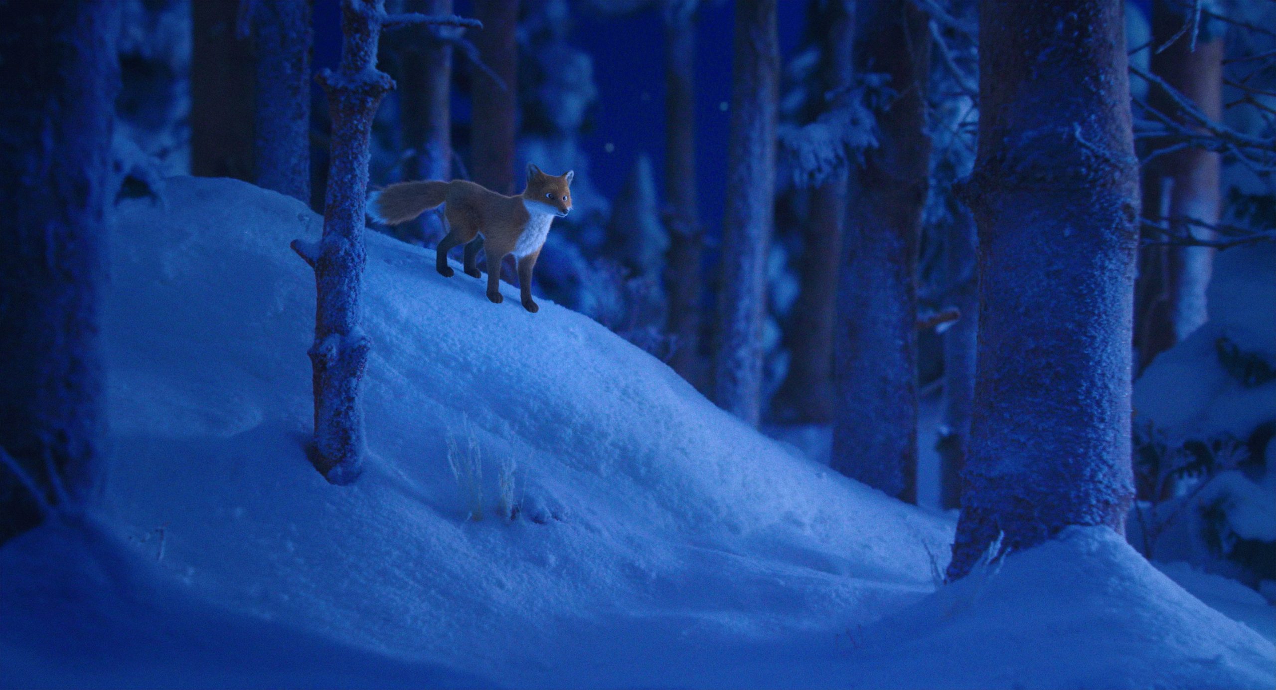 Qvisten – Reven og Nissen